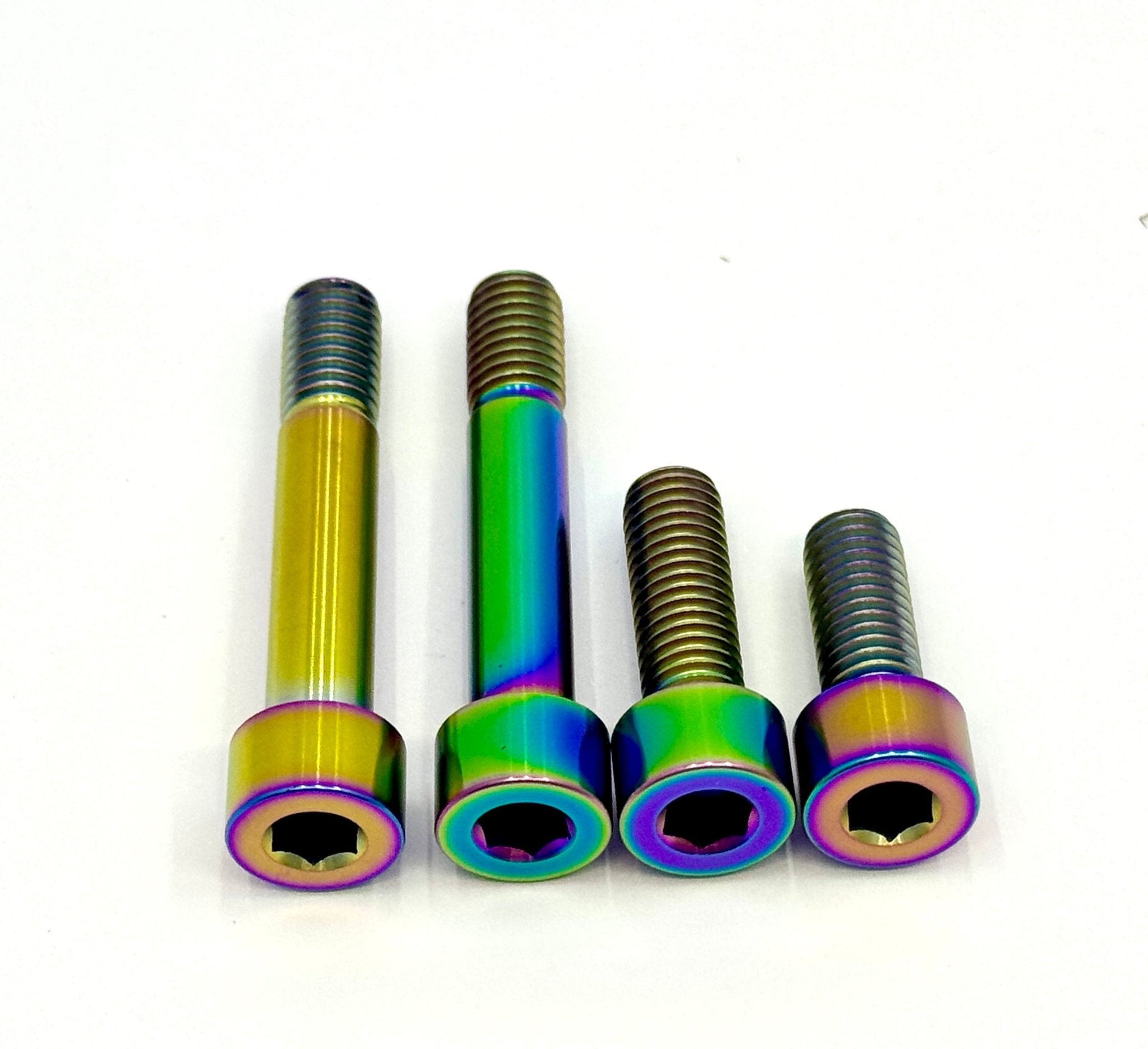 Titanium Motor Bolts - E-Ride Pro